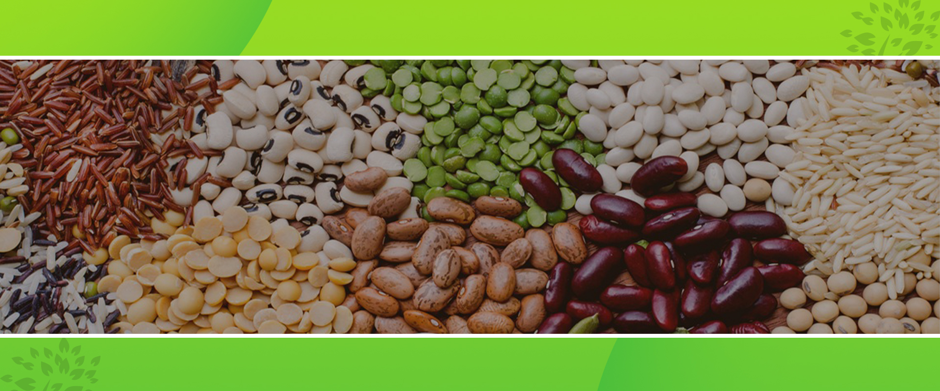 Mangul Agro - Agricultural Organization in Bhubaneswar,Odisha